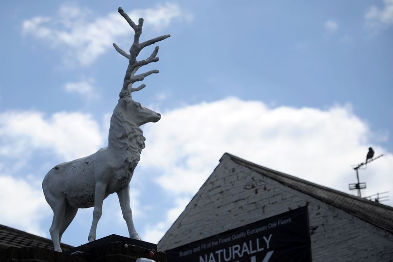 The Linthorpe Stag (Middlesbrough, Unknown, c.1900) – North East Statues